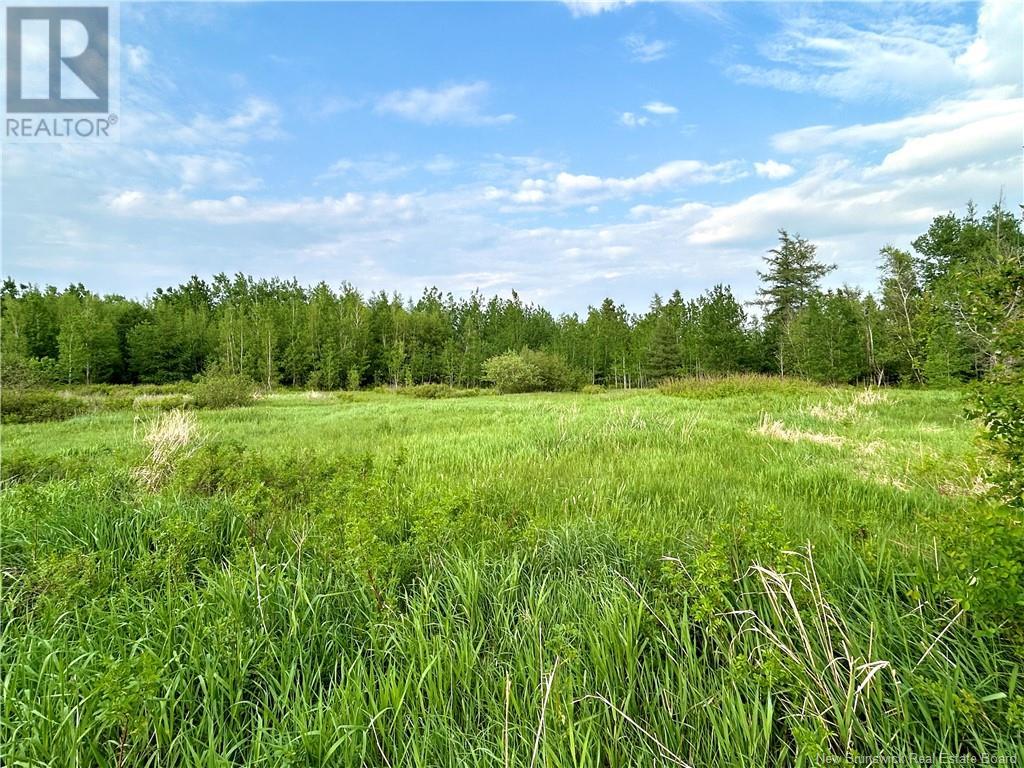 21 Acres Russell Rd, Black River Bridge, NB E1N 5T4 | MLS #NB119873 ...