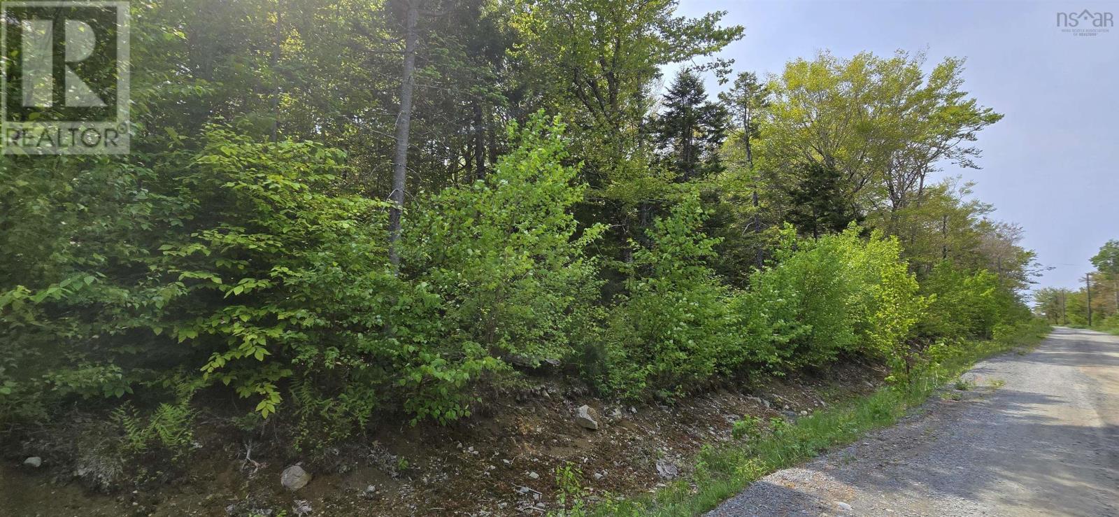 6 Nathan Croft Rd, Camperdown, NS B4V 6T9 | MLS #202501253 | Houseful