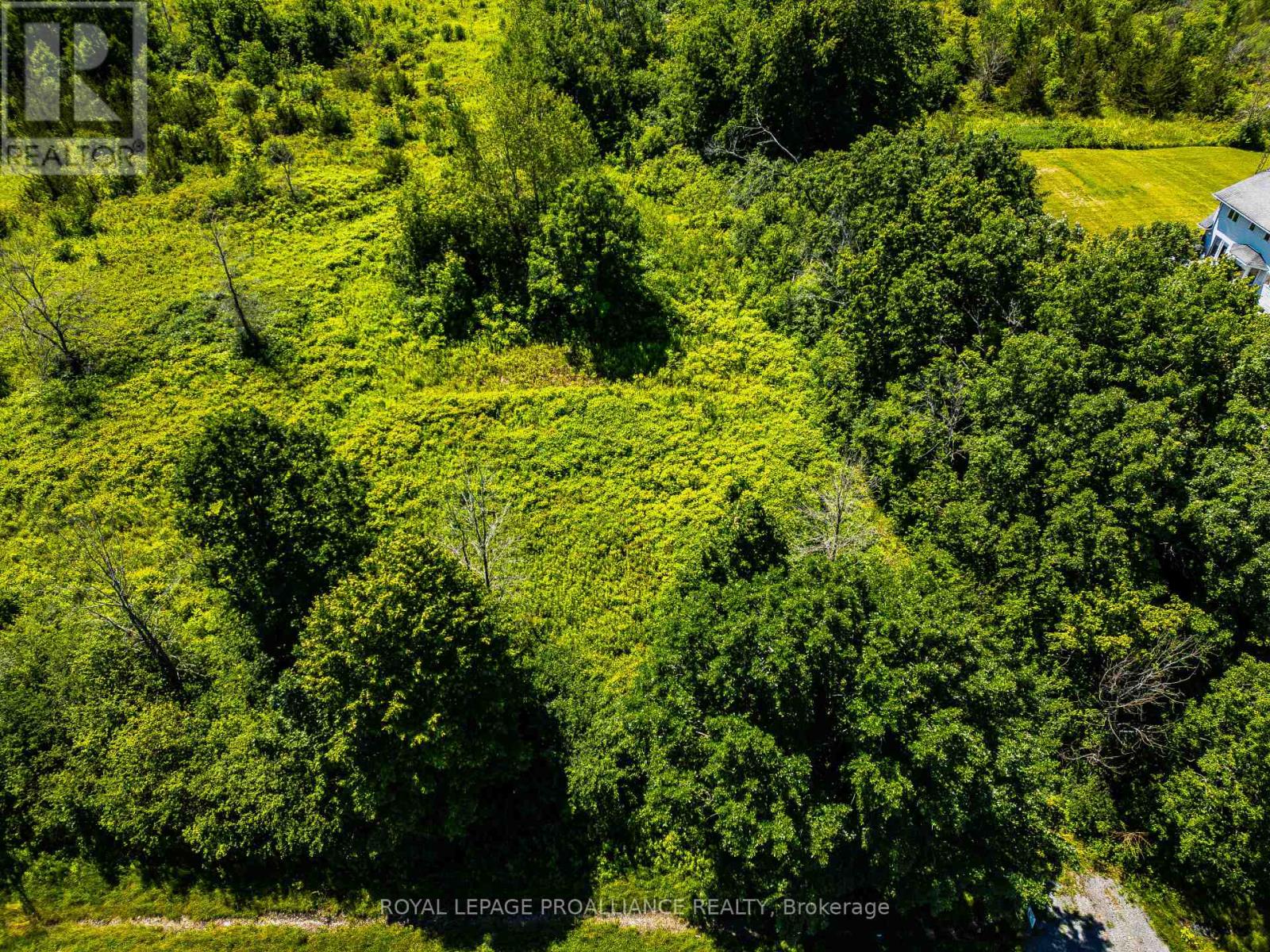 184 Upper Slash Rd, Tyendinaga, ON K0K 3A0 | MLS #X11903282 | Houseful