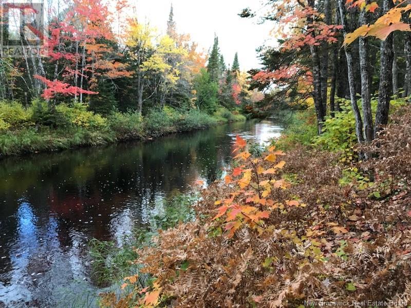 5 Acres Ch Collette East Unit 81 E 81 Collette Nb E4y 1h9 Mls