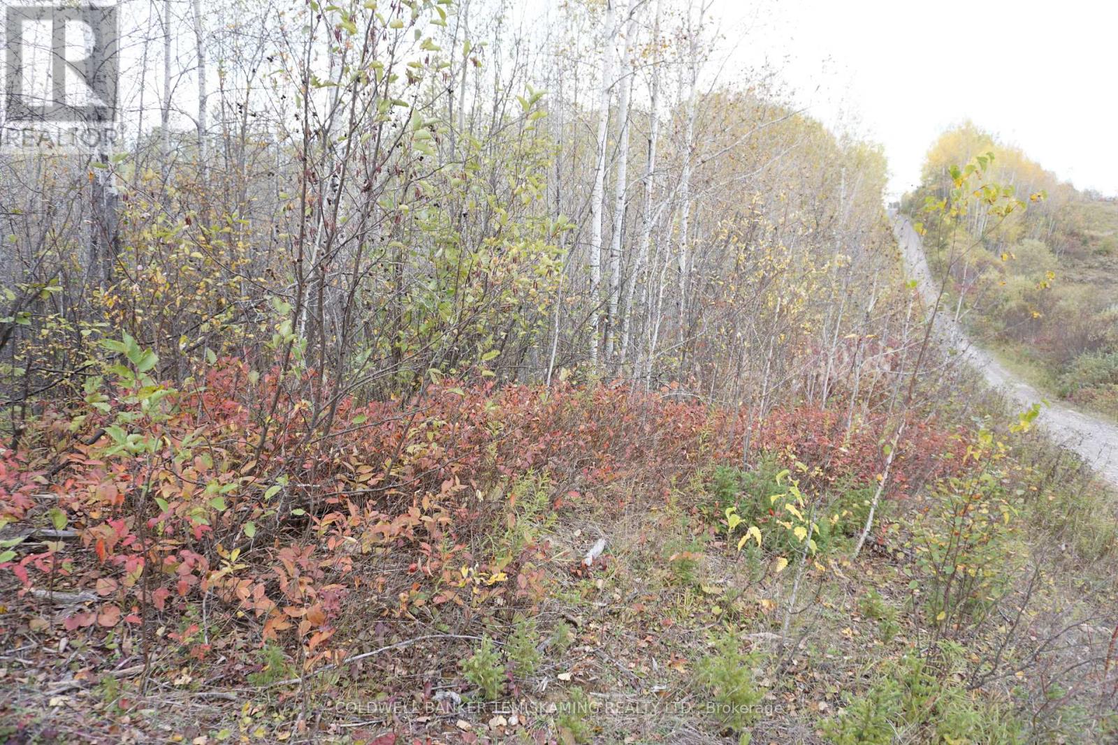 Lot 1a Campbells Road, Englehart Central Timiskaming, ON P0J 1B0 | MLS ...