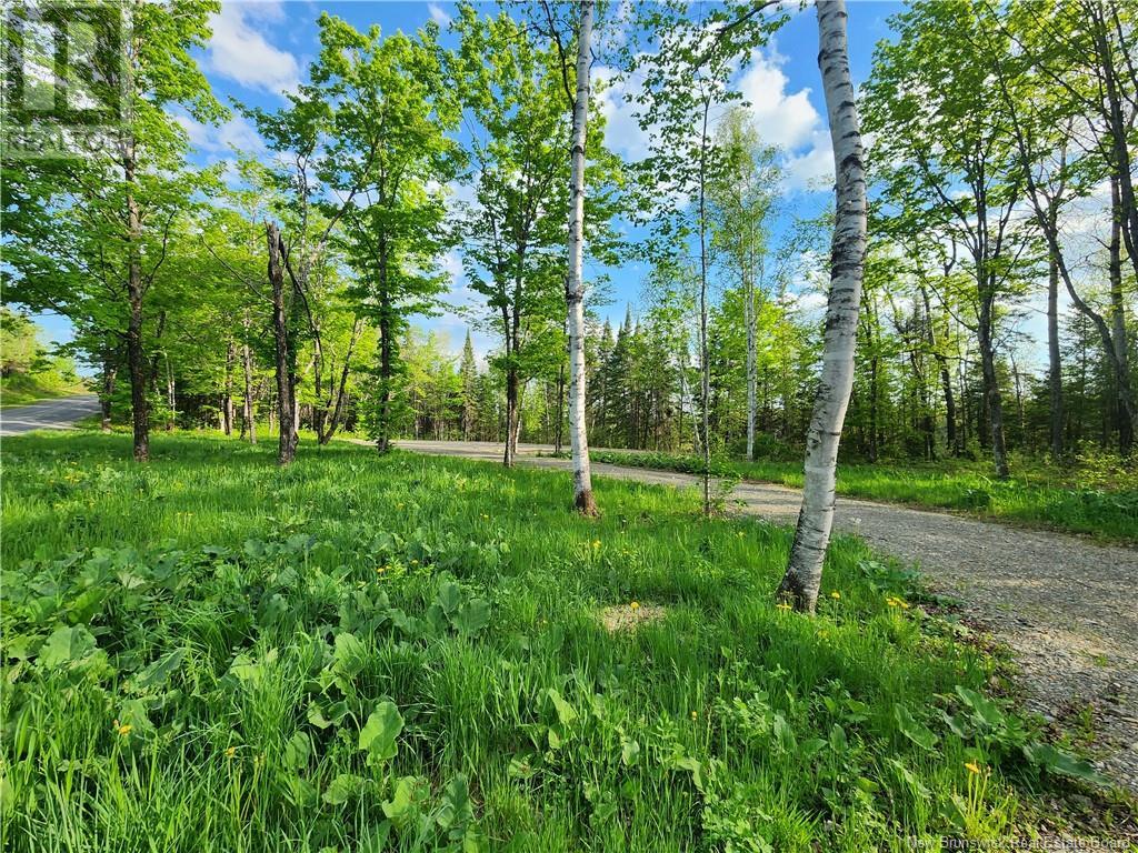 Undine Road Drummond Nb E3y 2h5 Mls Nb097470 Houseful