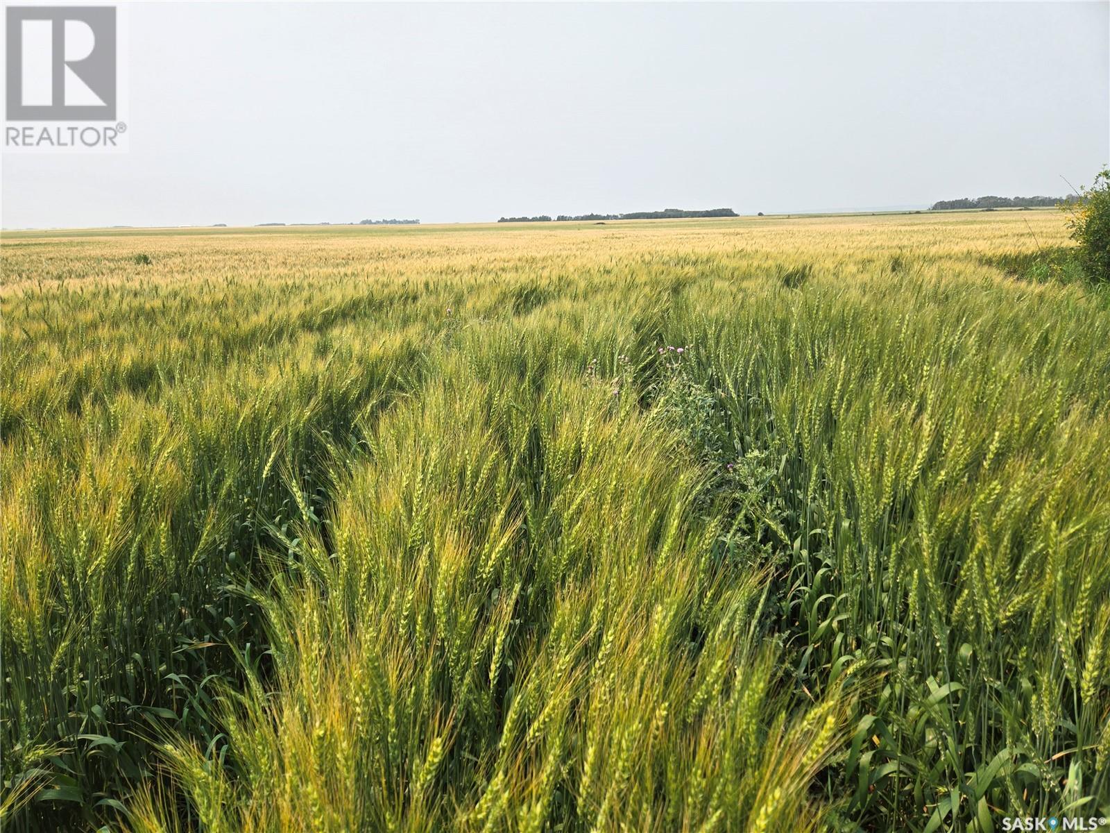 Willems Land, Laird Rm No. 404, SK S0K 4R0 | MLS #SK014346 | Houseful